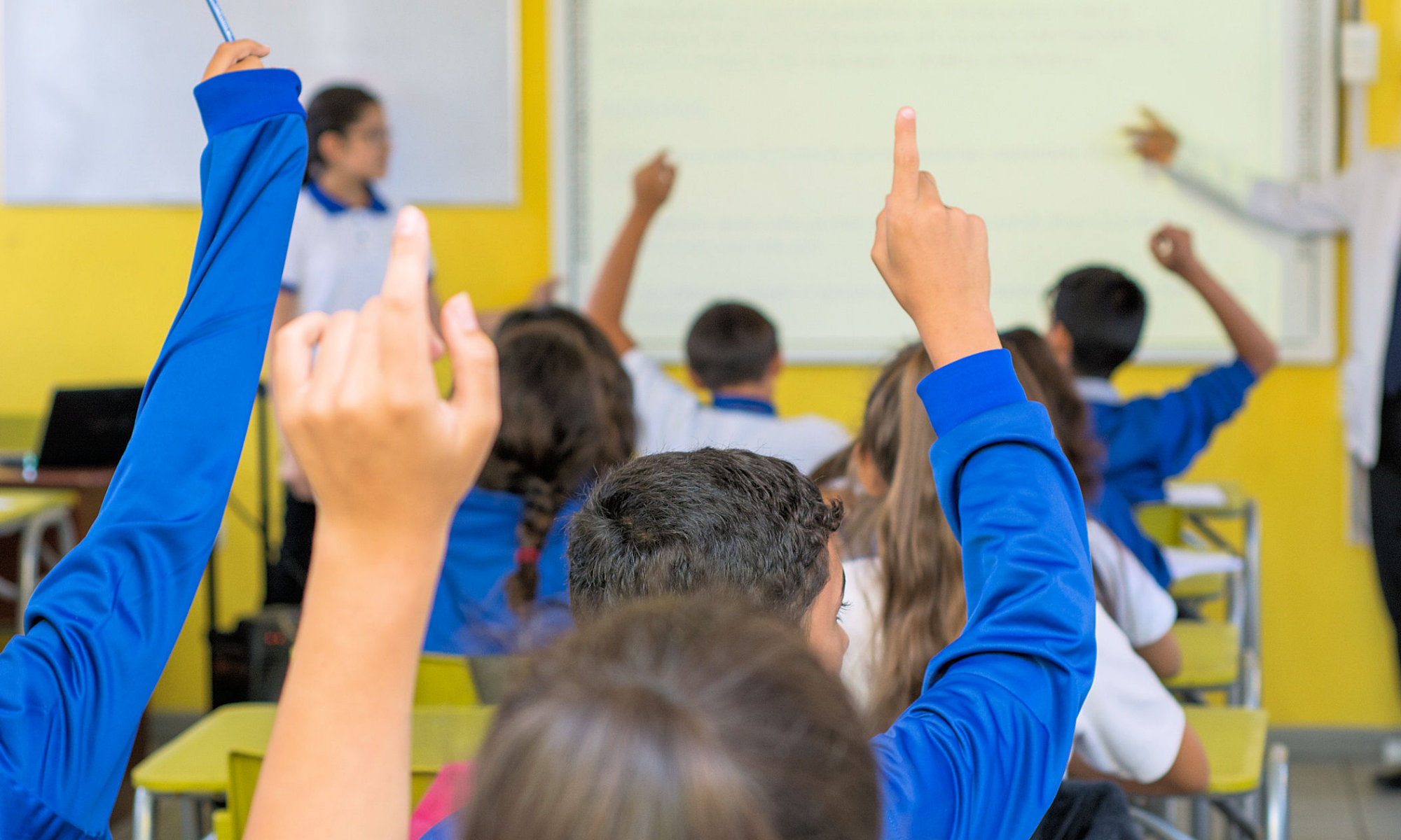 Colegio | Colegio John Wall Holcomb